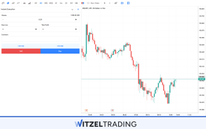 What Is A Lot In Forex? - All Sizes, Examples & Definition