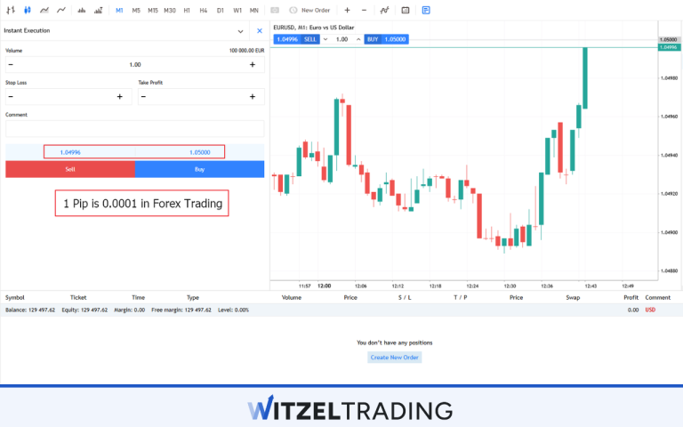 What Does Pip Mean In Forex Trading? | Definition & Examples