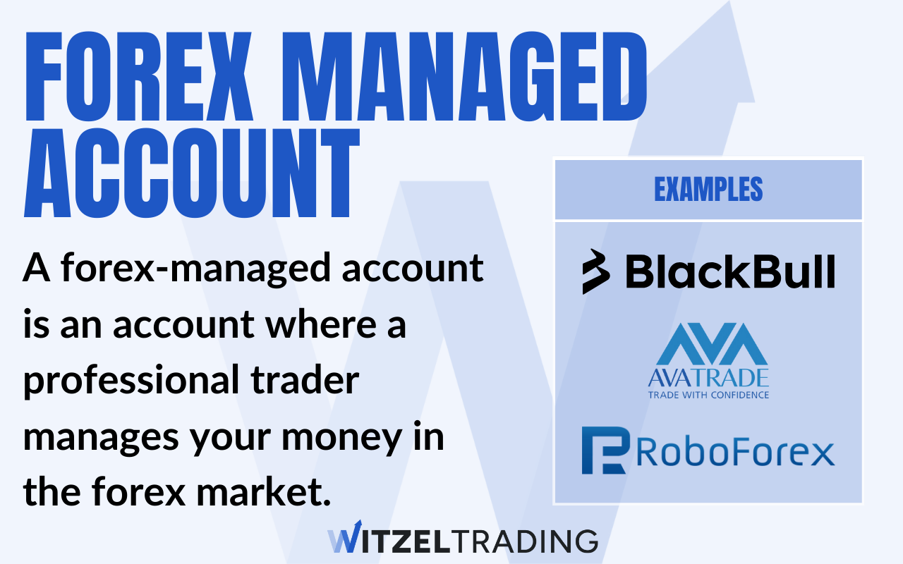What Is A Forex Managed Account? | Definition & Examples